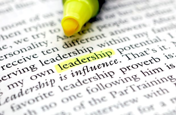 Strategic Leadership: Vision, Influence, and Impact - Wellington Uni ...